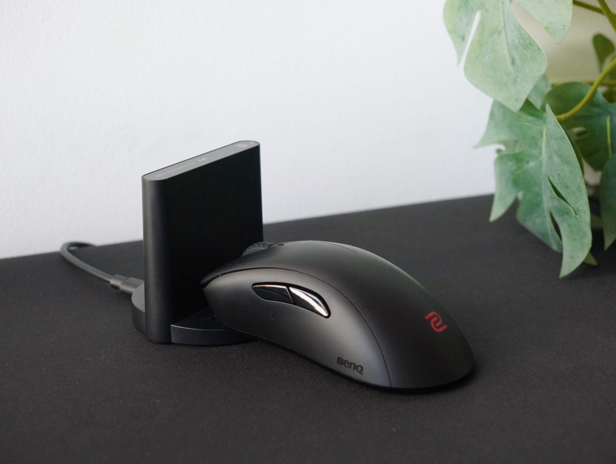 Review: ZOWIE EC3-CW Wireless Gaming Mouse – Tech Jio